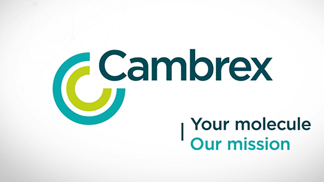 CDMO | Drug Substance, Drug Product & Analytical Services | Cambrex