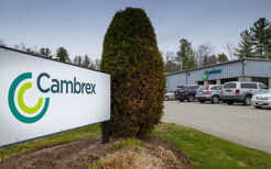 Locations | CDMO | Cambrex