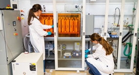 Snapdragon Chemistry | CDMO | Cambrex