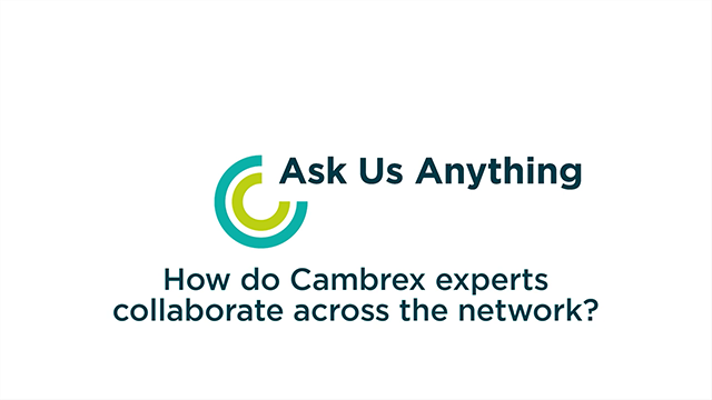How do Cambrex experts collaborate across the network? | Cambrex